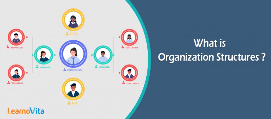 Organizational Structure Tutorial | A Complete guide for Beginners