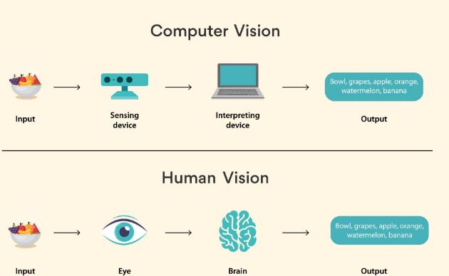 What is Computer Vision & How does it Works ? A step-by-step guide