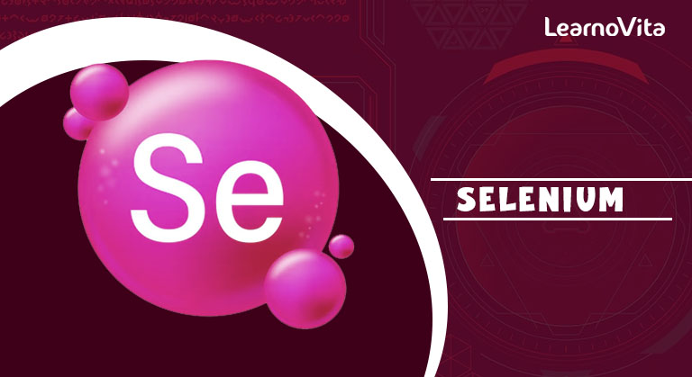Selenium Online Training With Placement (Highly-Rated⭐)